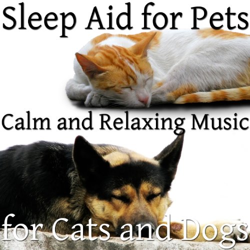 Amazon.com: Sleep Aid for Pets - Music for Dogs and Cats : Calming Pet ...