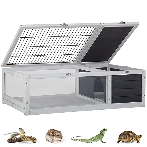 10 Best Musk Turtle Enclosures to Keep Your Terrapins Happy - Furry Folly