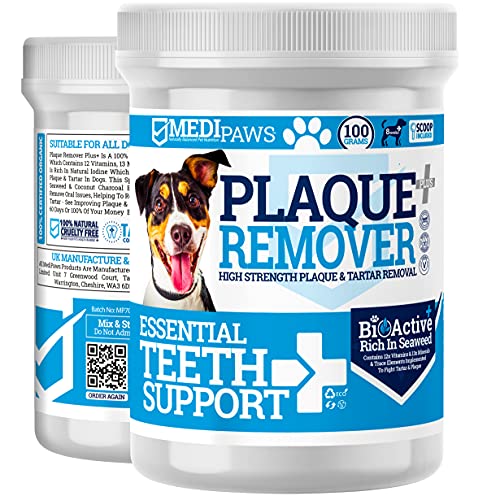 Best Dog Food For Old Dogs With Bad Teeth Life My Dog best-dog-food-for-old-dogs-with-bad-teeth-life-my-dog