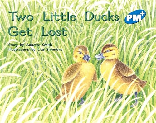 Two Little Ducks Get Lost : Smith, Annette: Amazon.co.uk: Books
