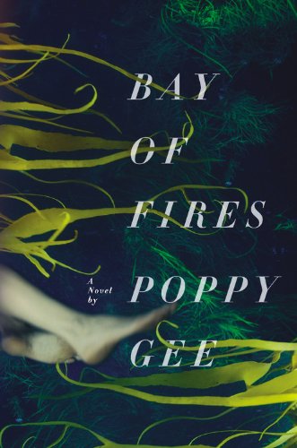 Amazon.com: Bay of Fires: A Novel: 9780316201681: Gee, Poppy: Books