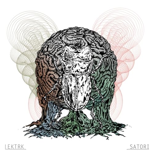 Amazon.com: Satori (DJ Mix) : LEKTRK: Digital Music