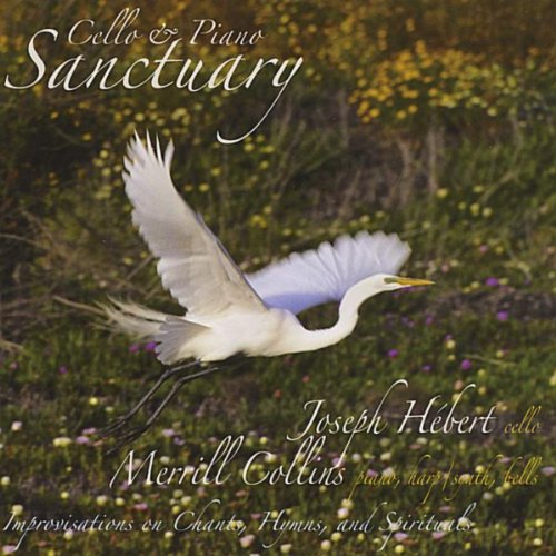 Play Cello & Piano Sanctuary (feat. Joseph Hebert) by Merrill Collins ...