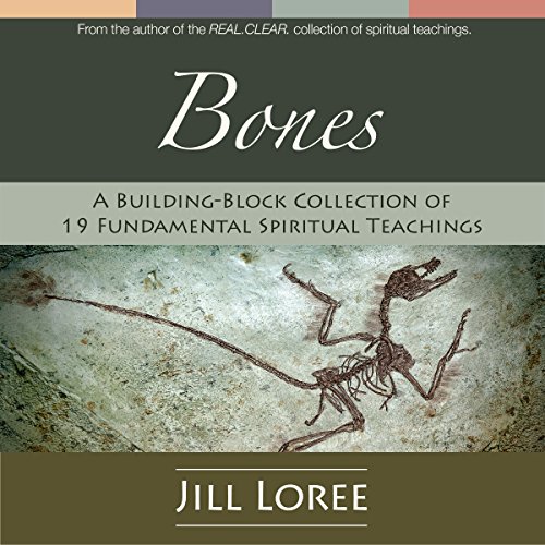 Amazon.com: Bones: A Building-Block Collection of 19 Fundamental ...