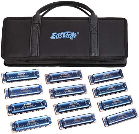 Amazon.com: Harmonica Set 12 key blues harp 008K Professional Diatonic ...