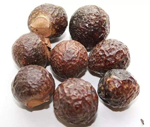 Organic Reetha (10 KG) Herbal Soap Nuts/Raw Reetha/Aritha : Amazon.in ...