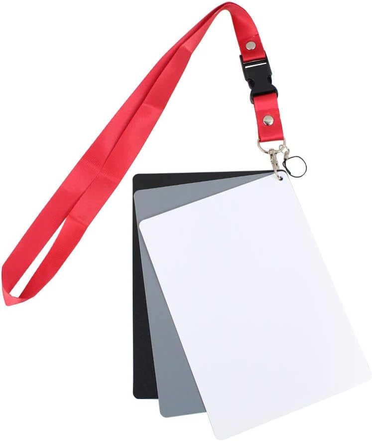 Amazon.com : Neewer® Large Size 2 Card Set 8" x 10" -White Balance ...