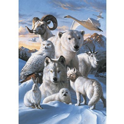 Buy Arctic Animals Jigsaw Puzzle 1000pc Online at Low Prices in India ...