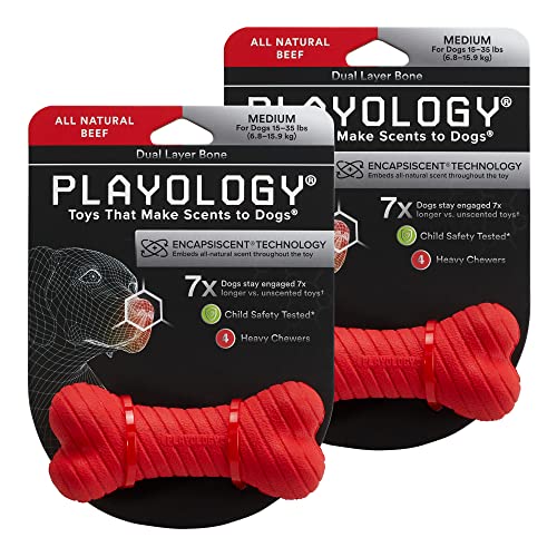 Playology Dual Layer Bone Toy - Engaging All Natural Beef Scented Dog ...