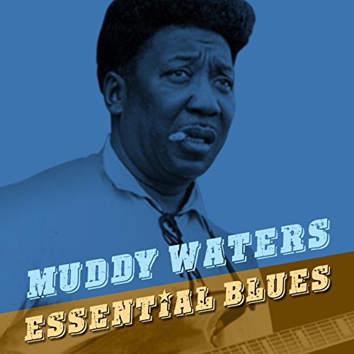 Muddy Waters