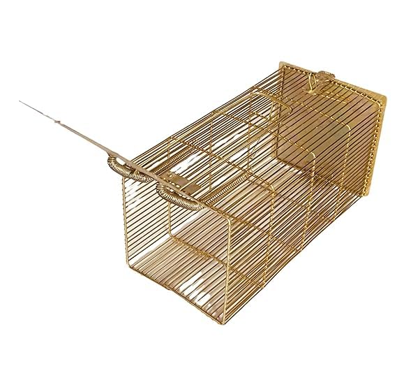 BHOLA Engineering Medium Size Rat Trap Cage, Rodent Control, Pinjra for ...