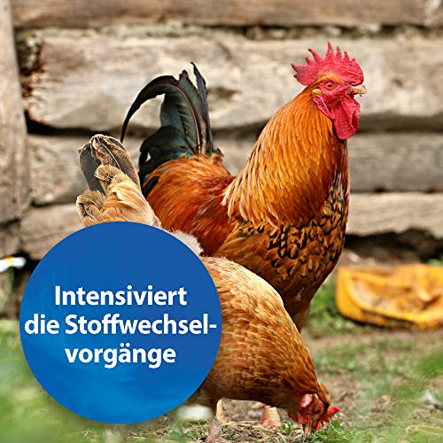 Quiko Plus 400g - Extra eiwit voor jonge vogels - Africansky