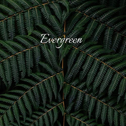Amazon.com: Evergreen : Natural Samples: Digital Music