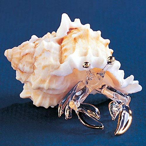 Hermit Crab With Glass Shell