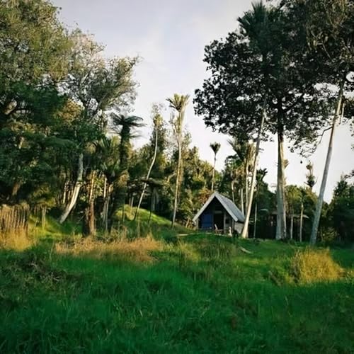 Road Safety sing-a-long by Constable Keith and Sniff on Amazon Music ...