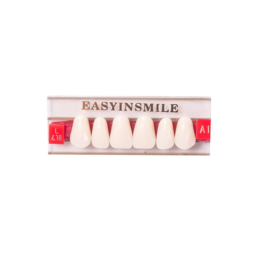 Buy Easyinsmile Dental Synthetic Resin Teeth Acrylic Denture False ...