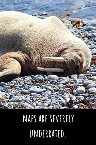 Naps Are Severely Underrated - Lined Journal and Notebook: Funny Walrus ...