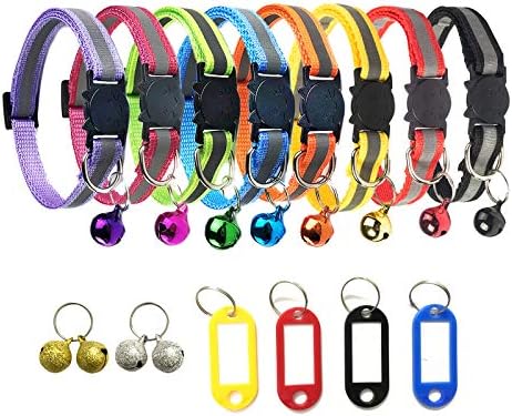 Pack of Two SureFlap RFID Collar Tags : Amazon.ca: Pet Supplies