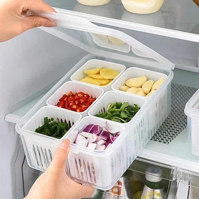 Buy Hiva enterprise 6 Grid Fridge Storage Box – Refrigerator Food ...