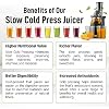Amazon.com: Zulay Kitchen Cold Press Juicer – High Juice Yield Slow ...