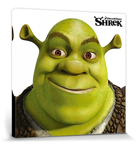 Shrek Gezichten