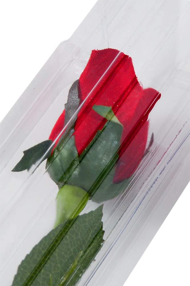 Curtis Wagner Plastics CW-226 Clear Large Single Rose Flower Boxes ...