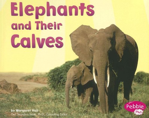 Elephants and Their Calves (Animal Offspring): Hall, Margaret ...