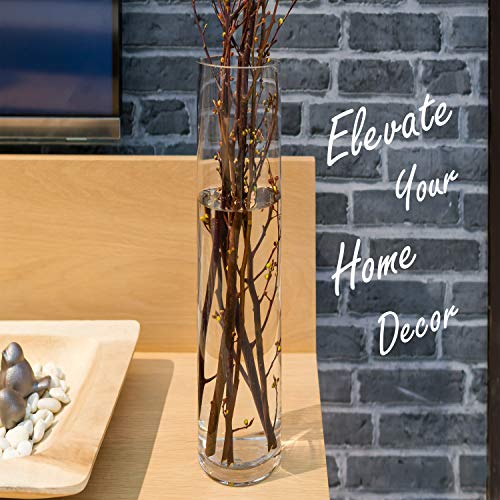 Snapklik.com : CYS Excel Clear Glass Cylinder Vase