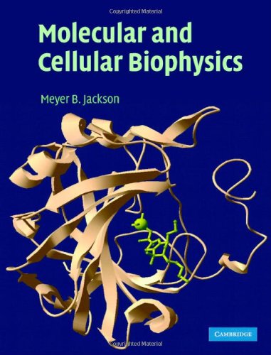 Molecular and Cellular Biophysics : Buy Online at Best Price in KSA ...