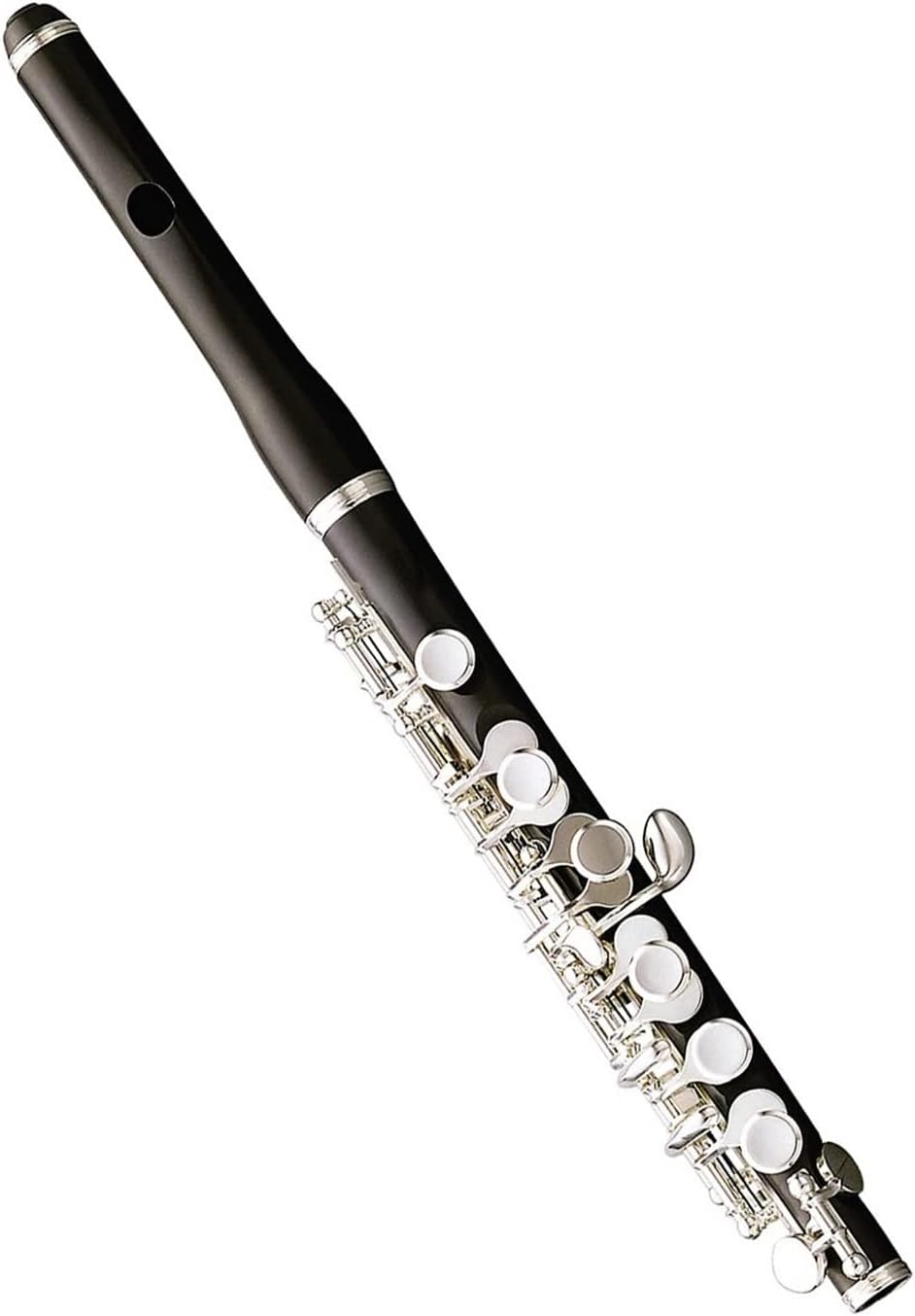 Amazon.com - TSTS Flutes Musical Instrument Half-Size Flutes Composite ...