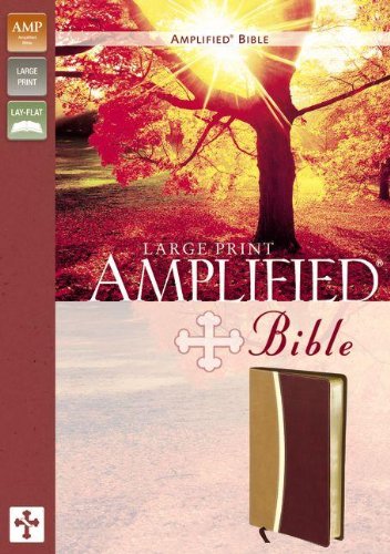 Amazon.com: Amplified, Bible, Large Print, Imitation Leather, Tan ...