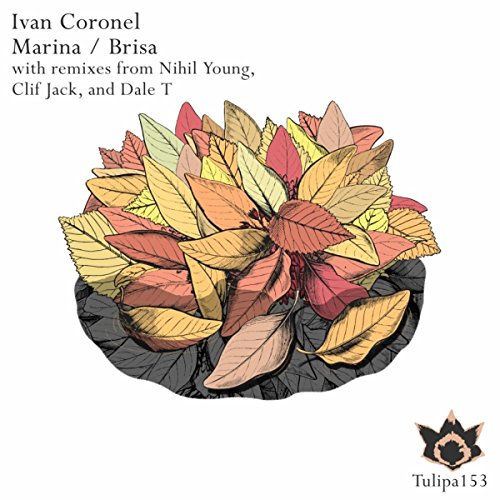 Play Marina / Brisa by Ivan Coronel on Amazon Music