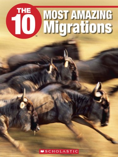 The 10 Most Amazing Migrations | Amazon.com.br