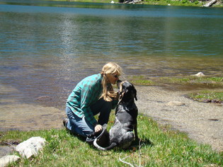 Amazon.com: Julie Anne Morley: books, biography, latest update