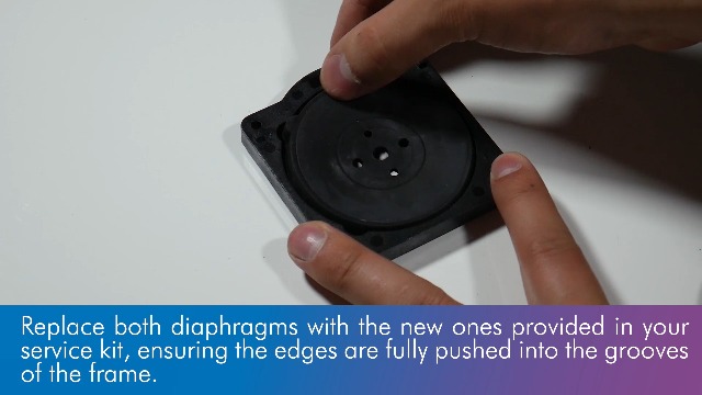 Watch How to install replacement kit for your Blue Diamond Pump on ...