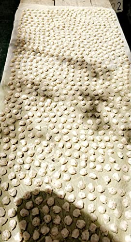 Home Made Til and Urad Dal Tilori /Til + Urad Dal badi | Hand Made Urad ...