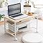 Amazon.co.jp: Air Rhizome Computer Desk, Low Type, With Casters ...