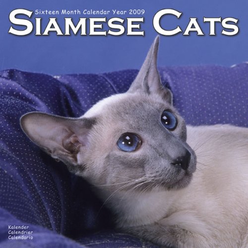 Cats - Siamese: 0 : Avonside Publishing Ltd: Amazon.in: Books