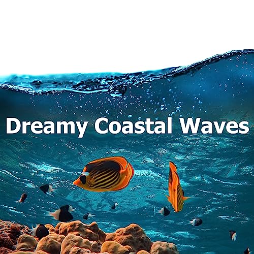 Écouter Dreamy Coastal Waves de H Two O sur Amazon Music Unlimited