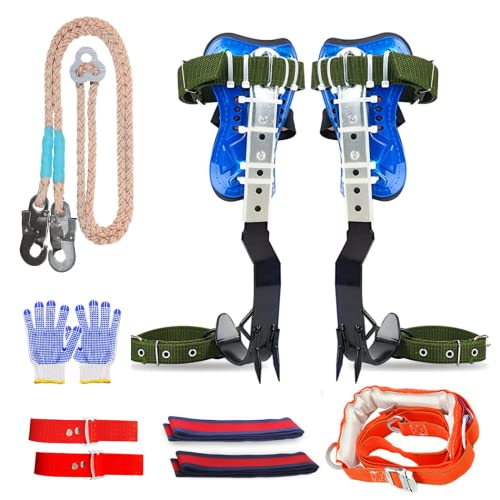 Best Tree Climbing Gear: Essential Tools for Scaling Trees Safely