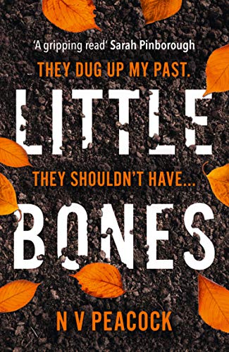 Little Bones: The most chilling serial killer thriller you’ll read this ...
