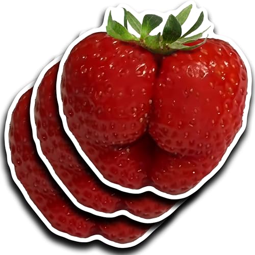 Thick Strawberry Sticker Decal Strawberry Ass Sticker