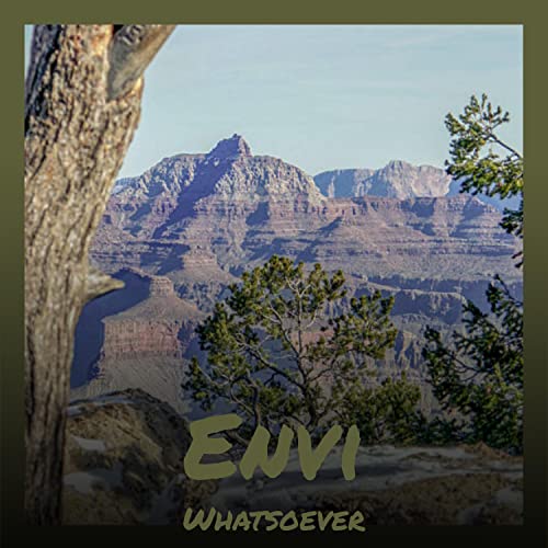 Amazon Music Unlimited - VARIOUS ARTISTS 『Envi Whatsoever』