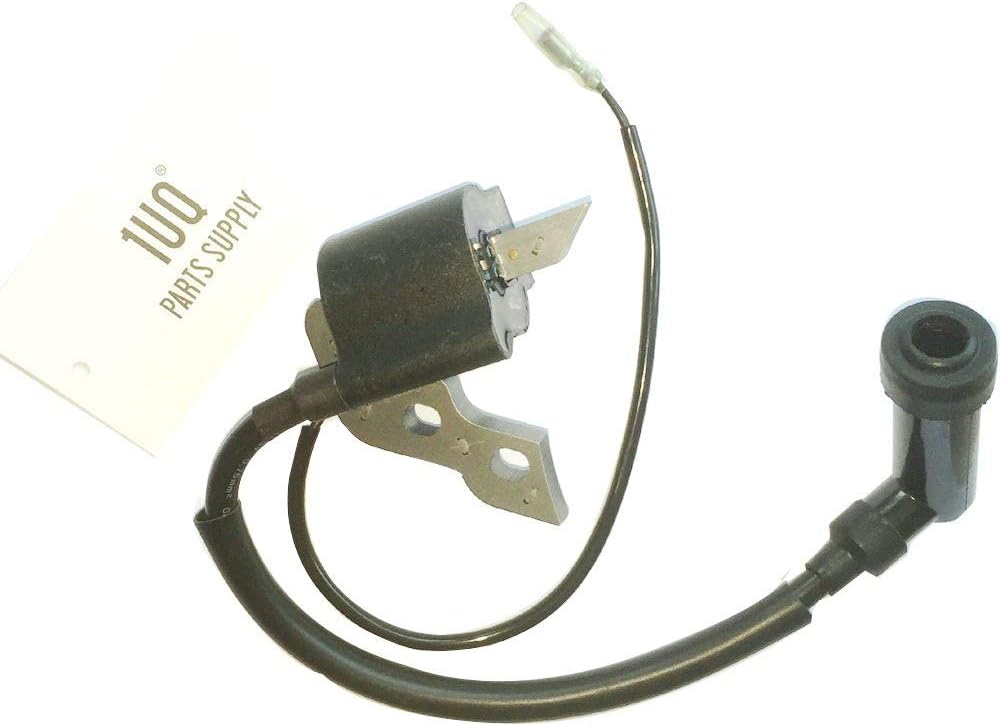 Amazon.com : 1UQ Ignition Coil Module CDI for Buffalo Tools Sportsman ...