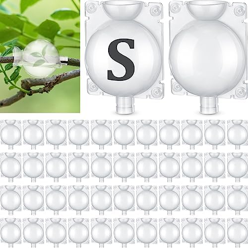 Amazon.com : Kemcatui 10 Pack Plant Root Growing Box, Rooting Ball Tree ...