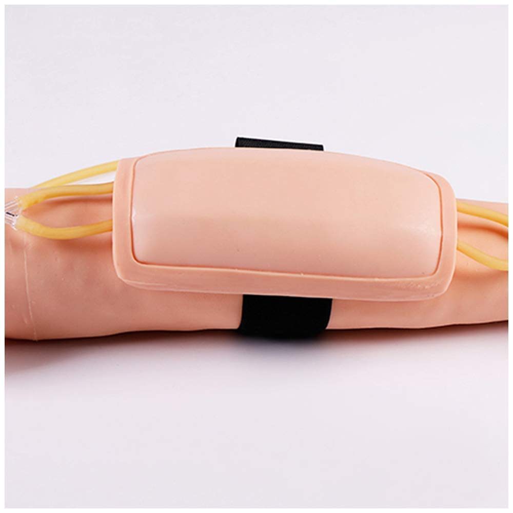 Buy LXX IV Injection Practice Arm Model - IV Venipuncture Practice ...