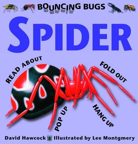 Bouncing Bugs - Spider | Amazon.com.br