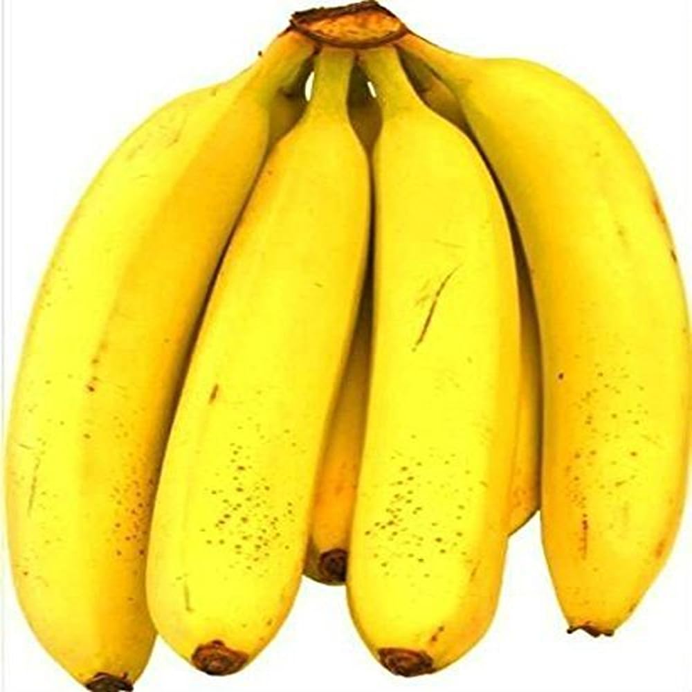 Fresh Produce Banana Robusta, 500 g : Amazon.in: Grocery & Gourmet Foods