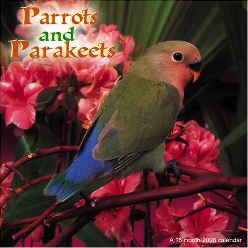 Parrots and Parakeets 2008 Wall Calendar: Magnum Publications ...