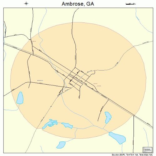 Amazon.com: Large Street & Road Map of Ambrose, Georgia GA - Printed ...